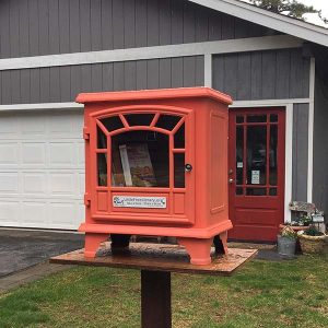 20 Free Library Ideas to Bring a Little Happiness to Your Neighborhood ...