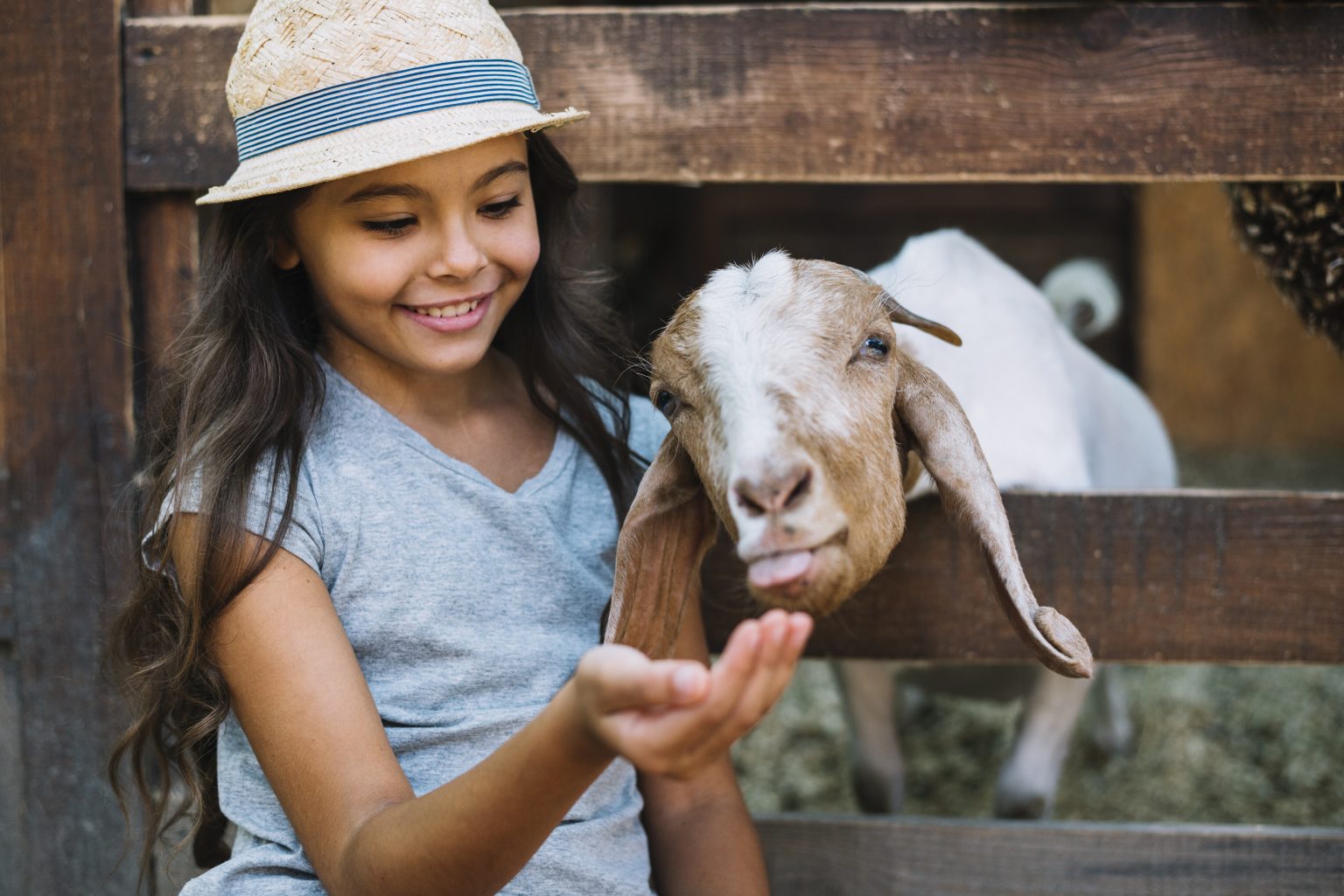 6 Places to Pet Farm Animals Near LA & Orange County - Kidsguide