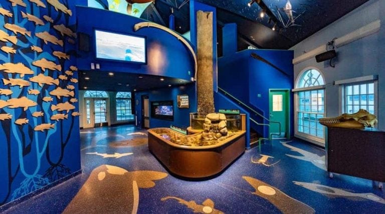 The Best Places to Play Inside — Indoor Playgrounds, Museums, and ...