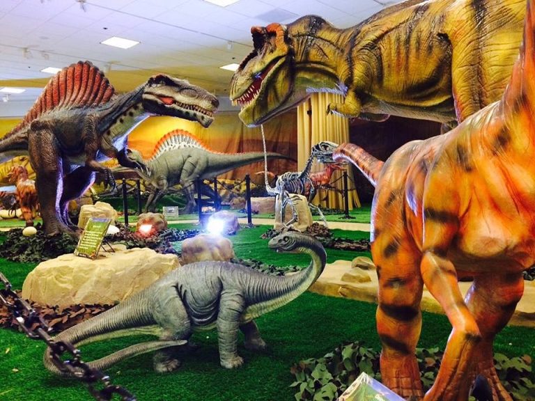 The Best Places to Play Inside — Indoor Playgrounds, Museums, and ...
