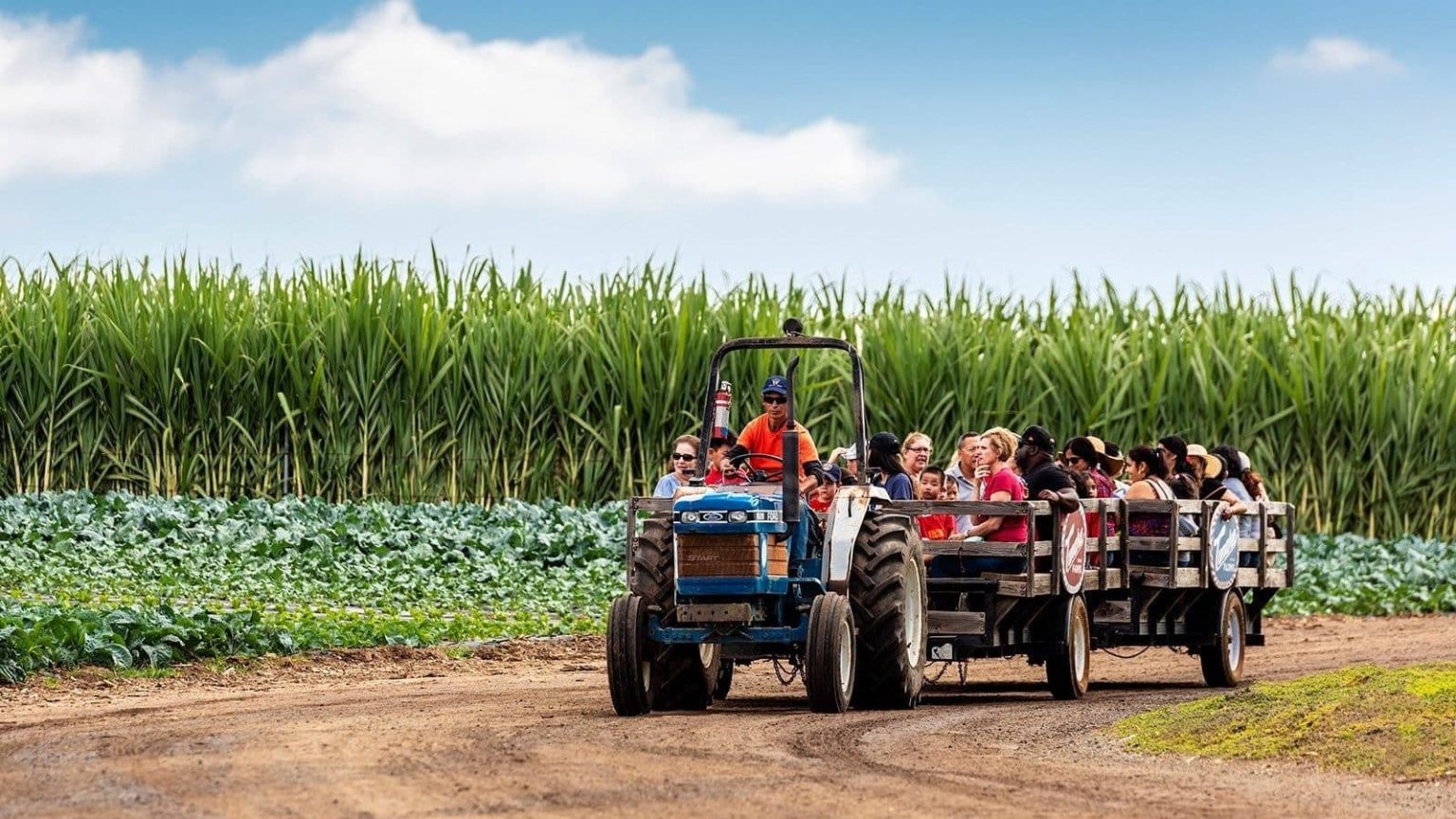 Explore SoCal’s Best Family-Friendly Farms: Fun Activities ...