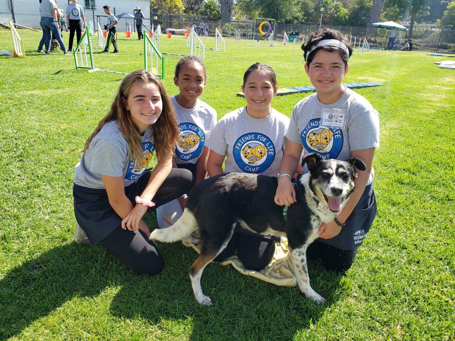 10 Unique Summer Camps in SoCal Your Kid Will Never Forget - Kidsguide